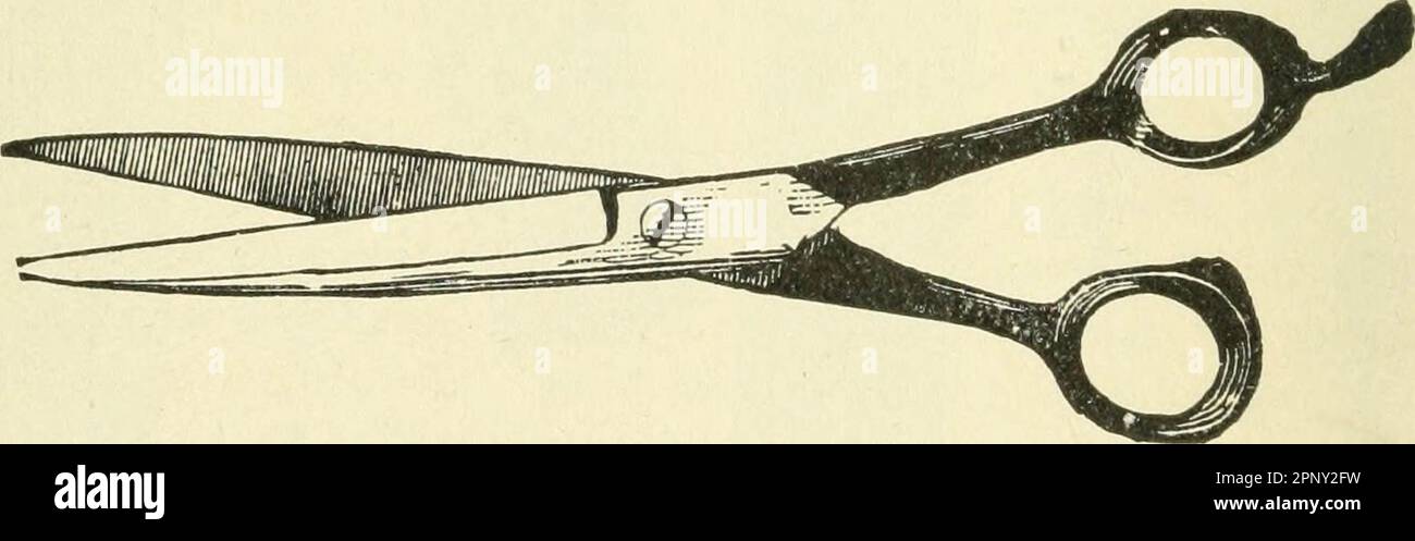 Barbering history hi-res stock photography and images - Alamy