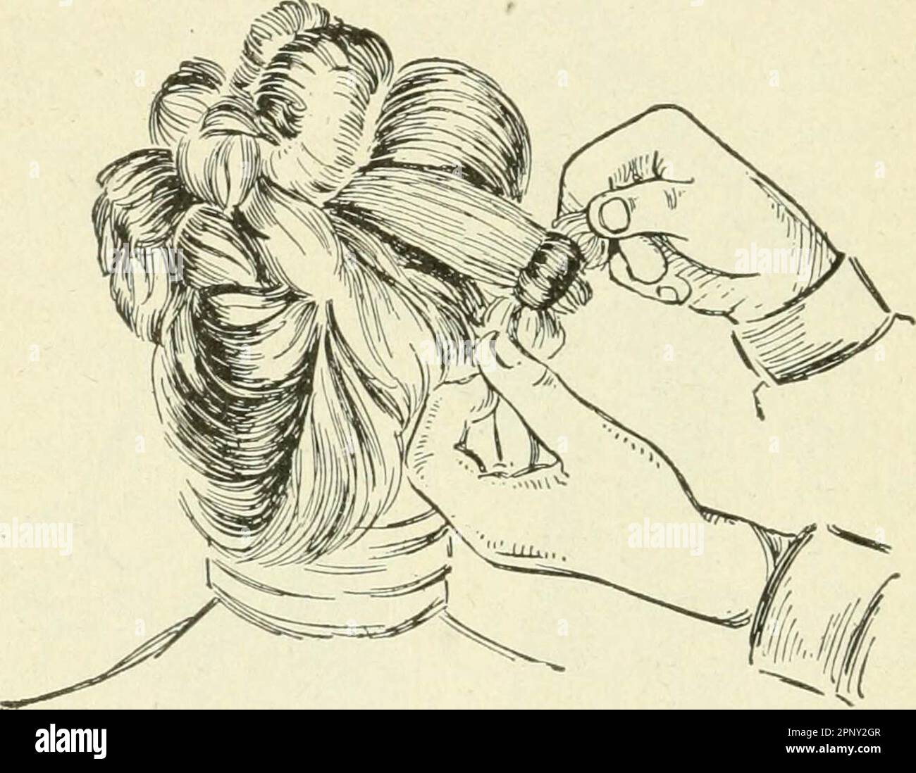 "The manual on barbering, hairdressing, manicuring, facial massage ...