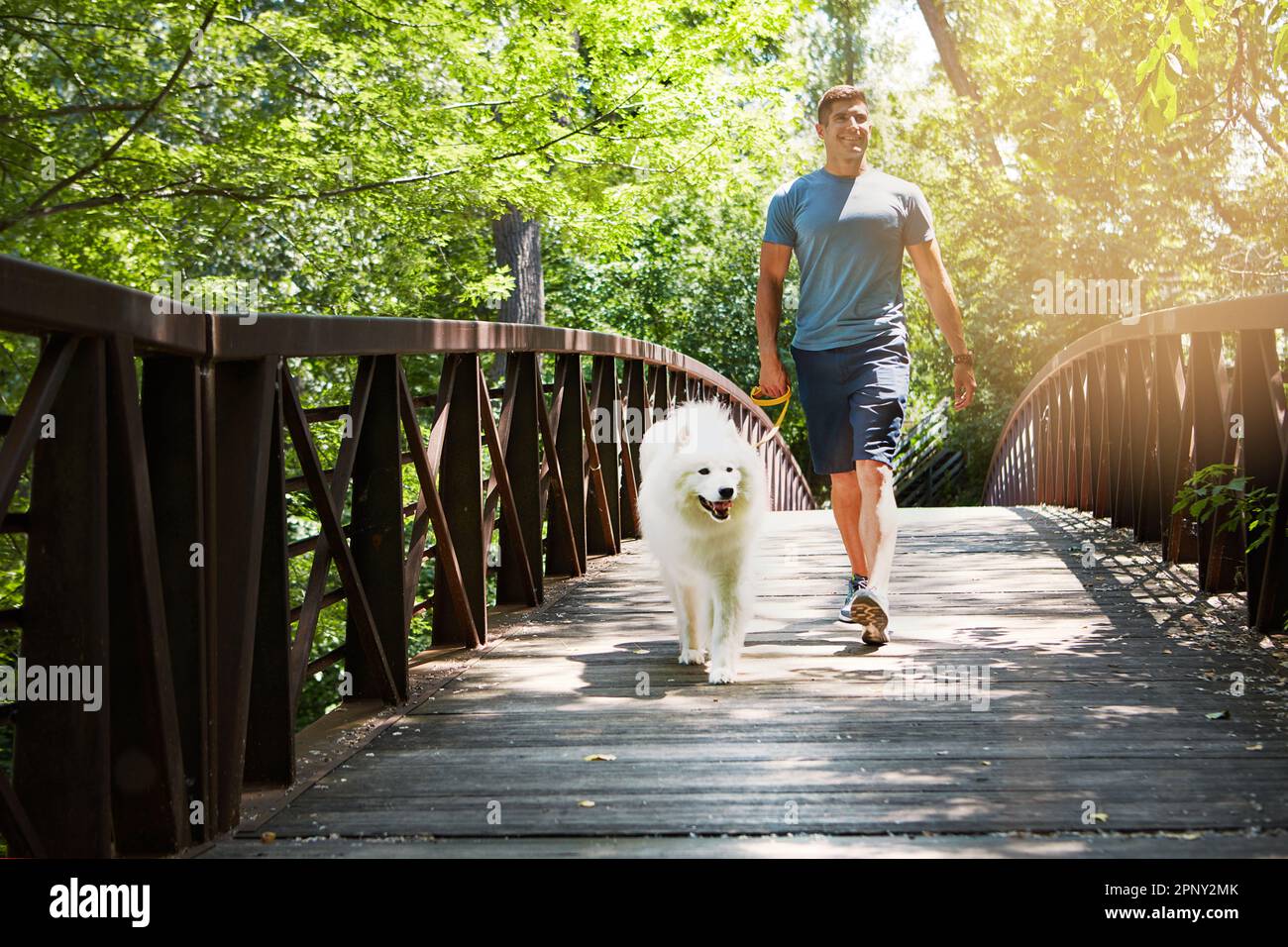 Come boy...a handsome young man walking his dog in the park Stock Photo ...