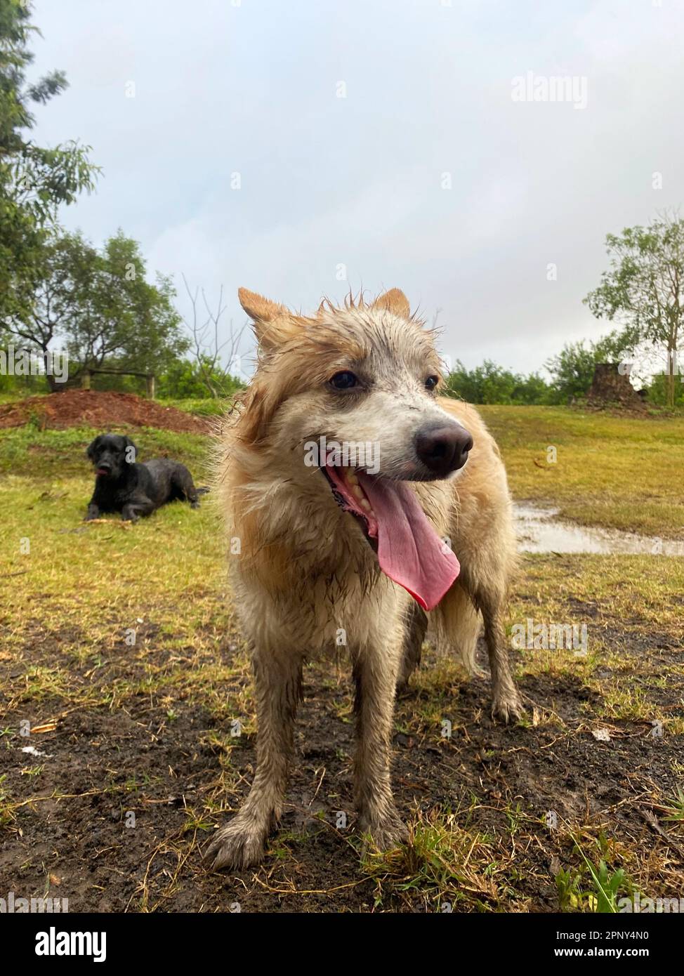 Playing in the mud hi-res stock photography and images - Alamy