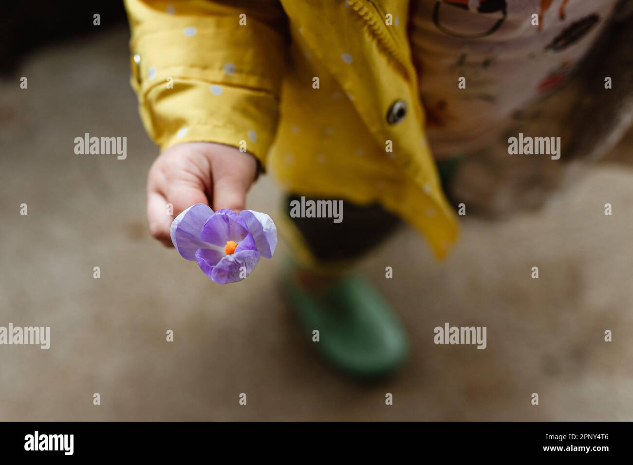 Nature child hand flower hi-res stock photography and images - Alamy
