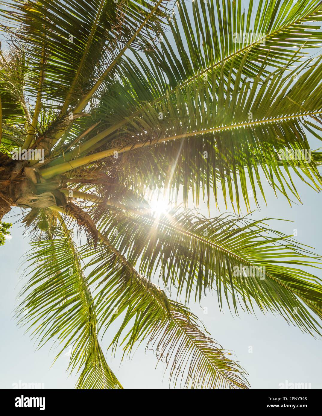 Adventure travel under the sun hi-res stock photography and images - Alamy