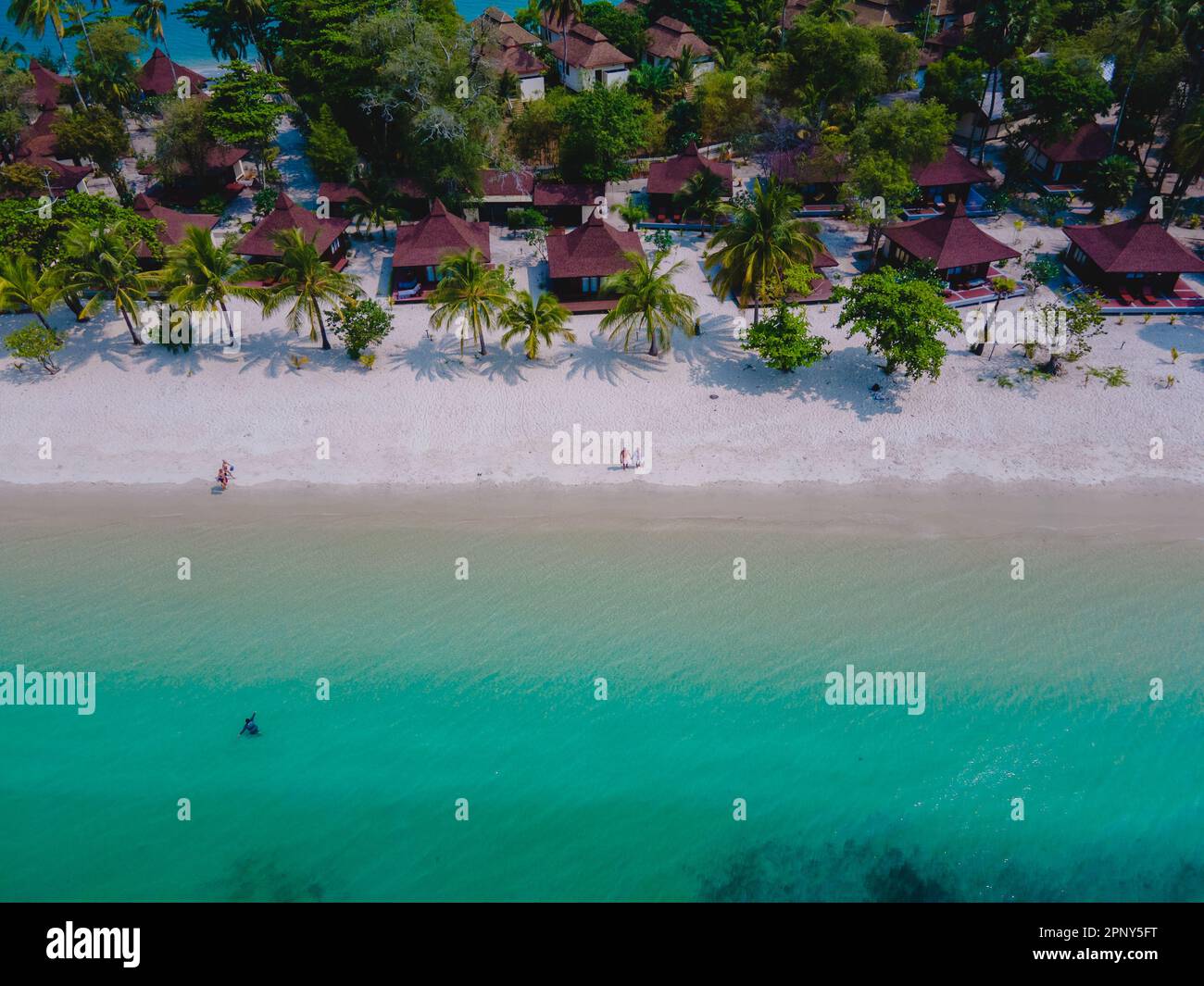 A couple of men and women on vacation at Koh Mook tropical Island in ...