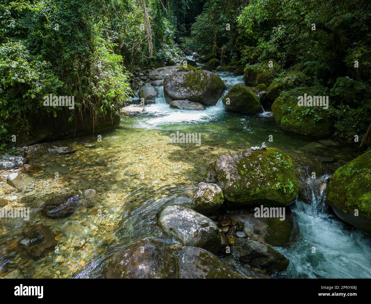 Beautiful view to wild green atlantic rainforest river pool Stock Photo ...
