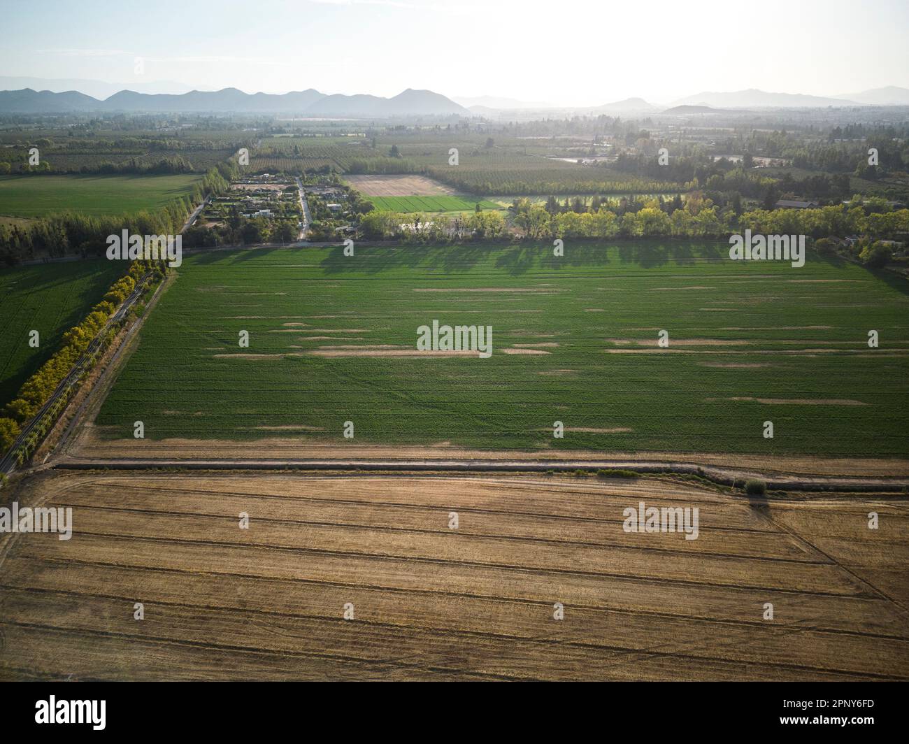 Beautiful view to plantation agriculture crops in Santiago Stock Photo ...