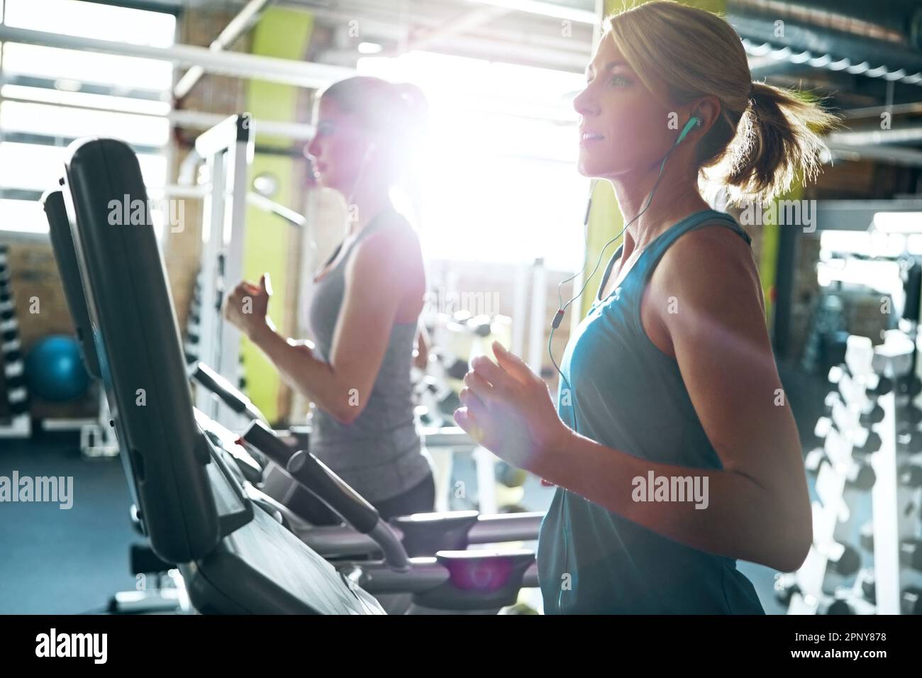 Hitting their cardio goals. two women on the treadmill at the gym Stock ...