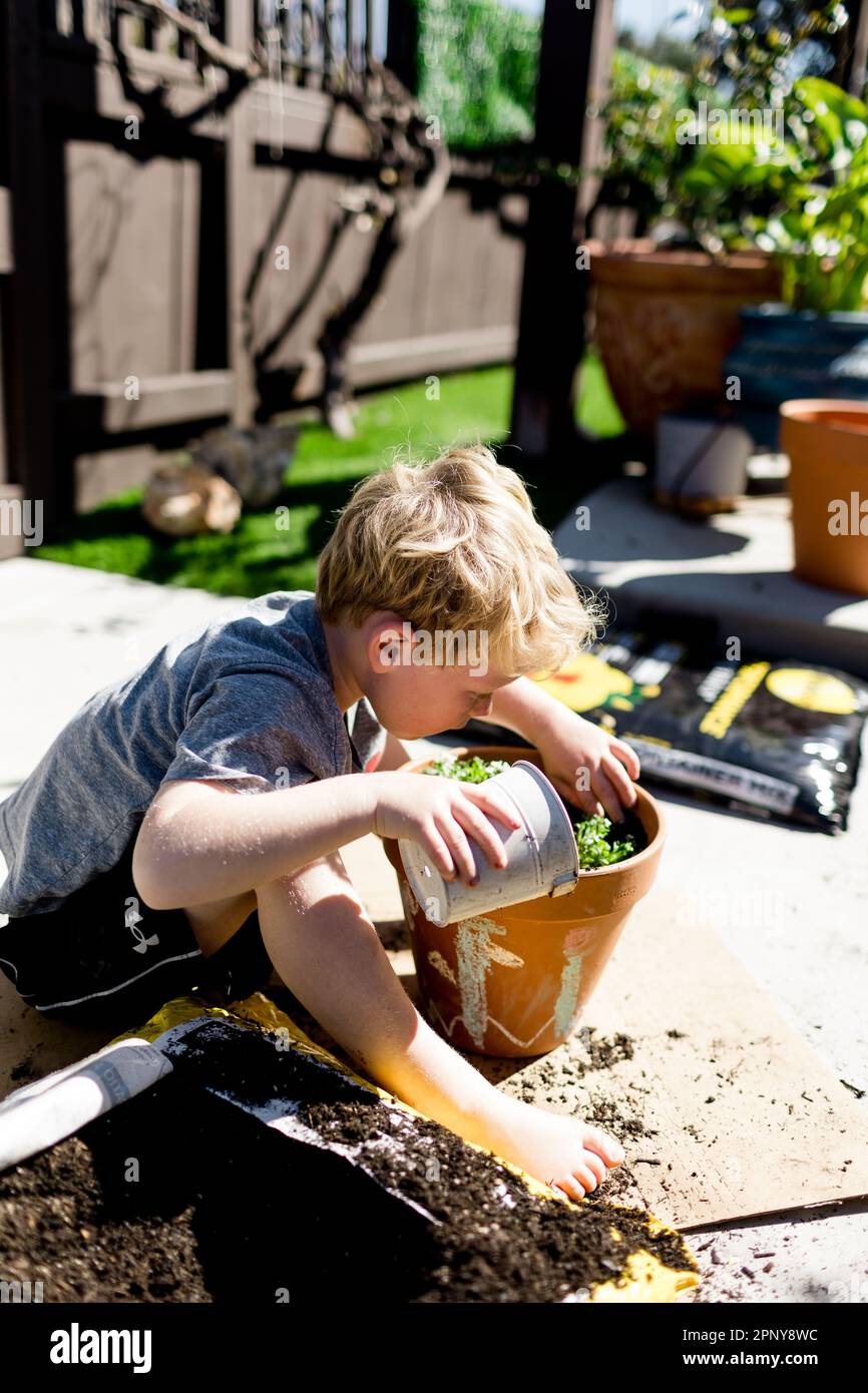 Boy planting flowers hi-res stock photography and images - Alamy
