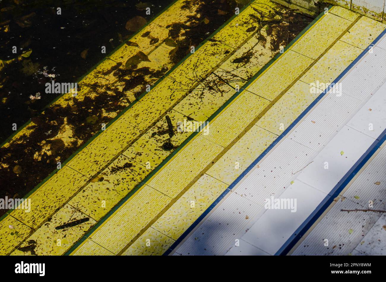 edge of an abandoned swimming pool with filthy water Stock Photo - Alamy