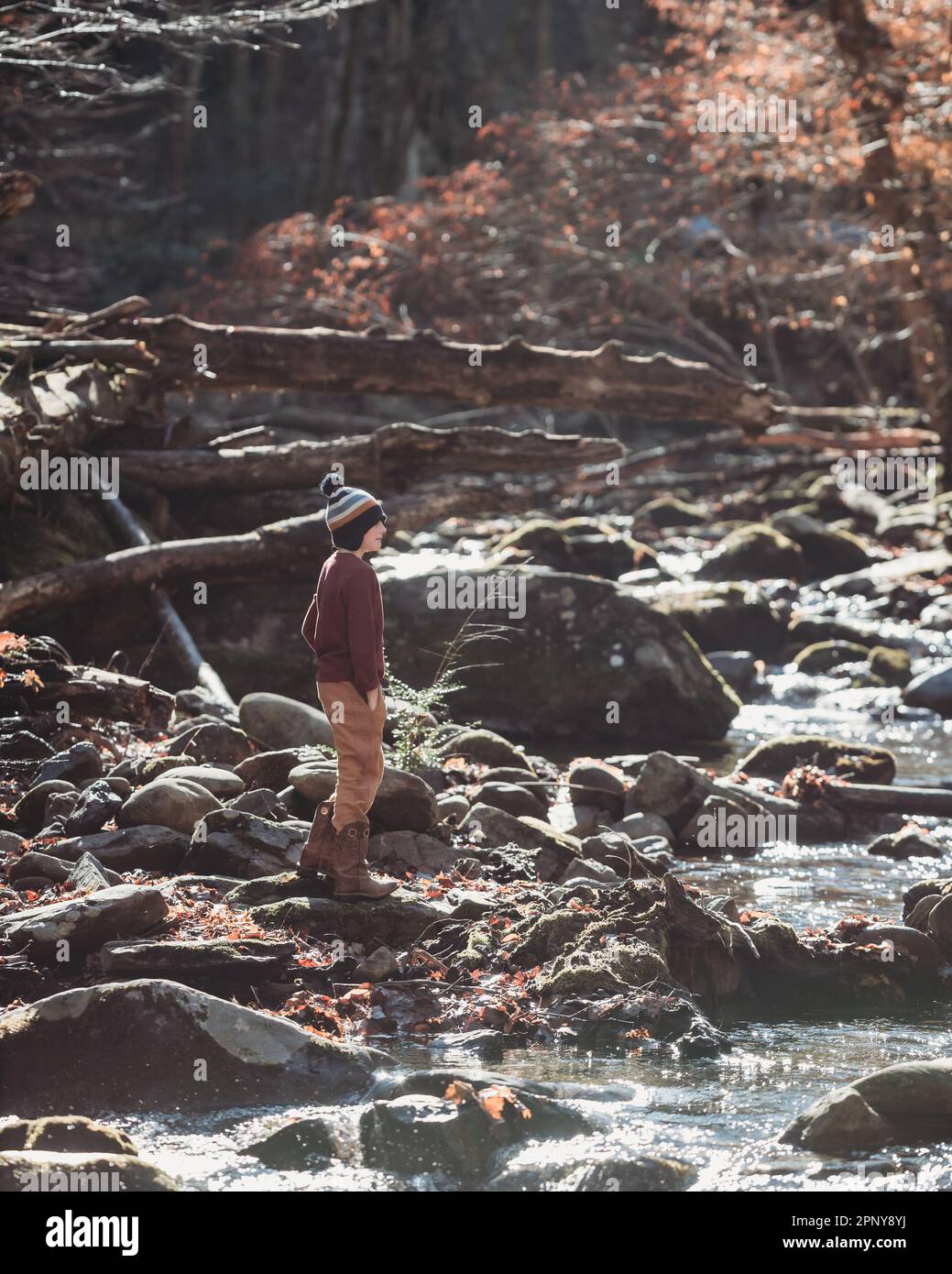 Person standing in scenic mountain valley stream Stock Photo - Alamy