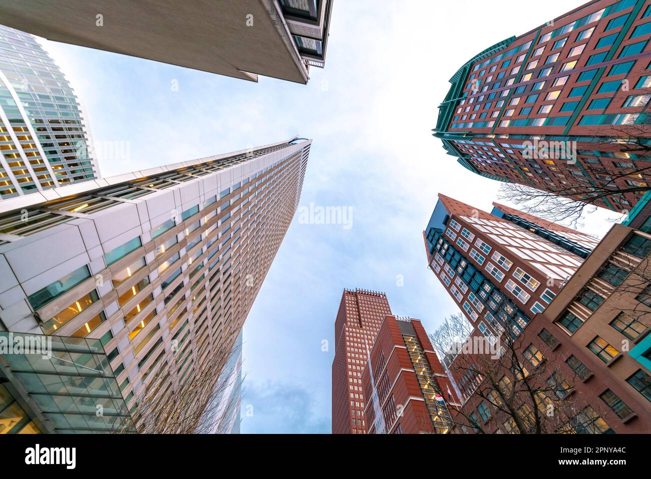 business government towers and buildings in the Hague, The Netherlands ...