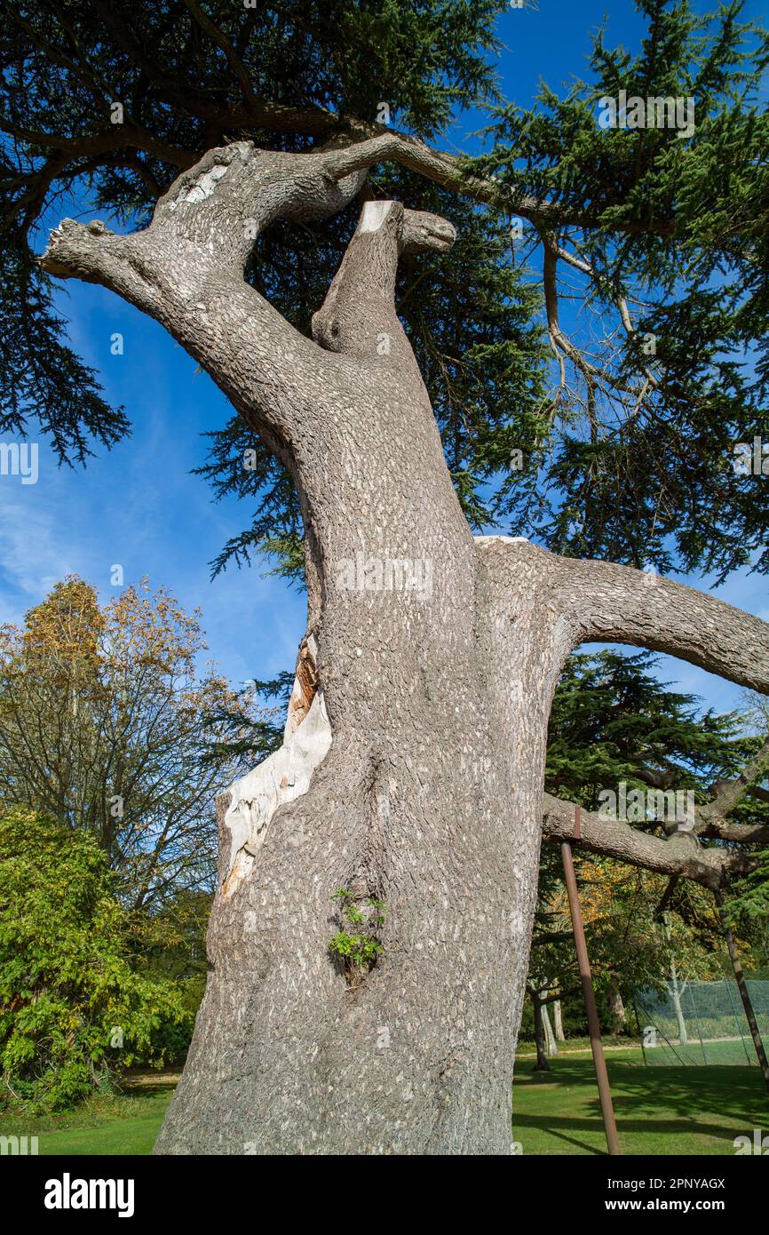 Ardington house oxfordshire hi-res stock photography and images - Alamy