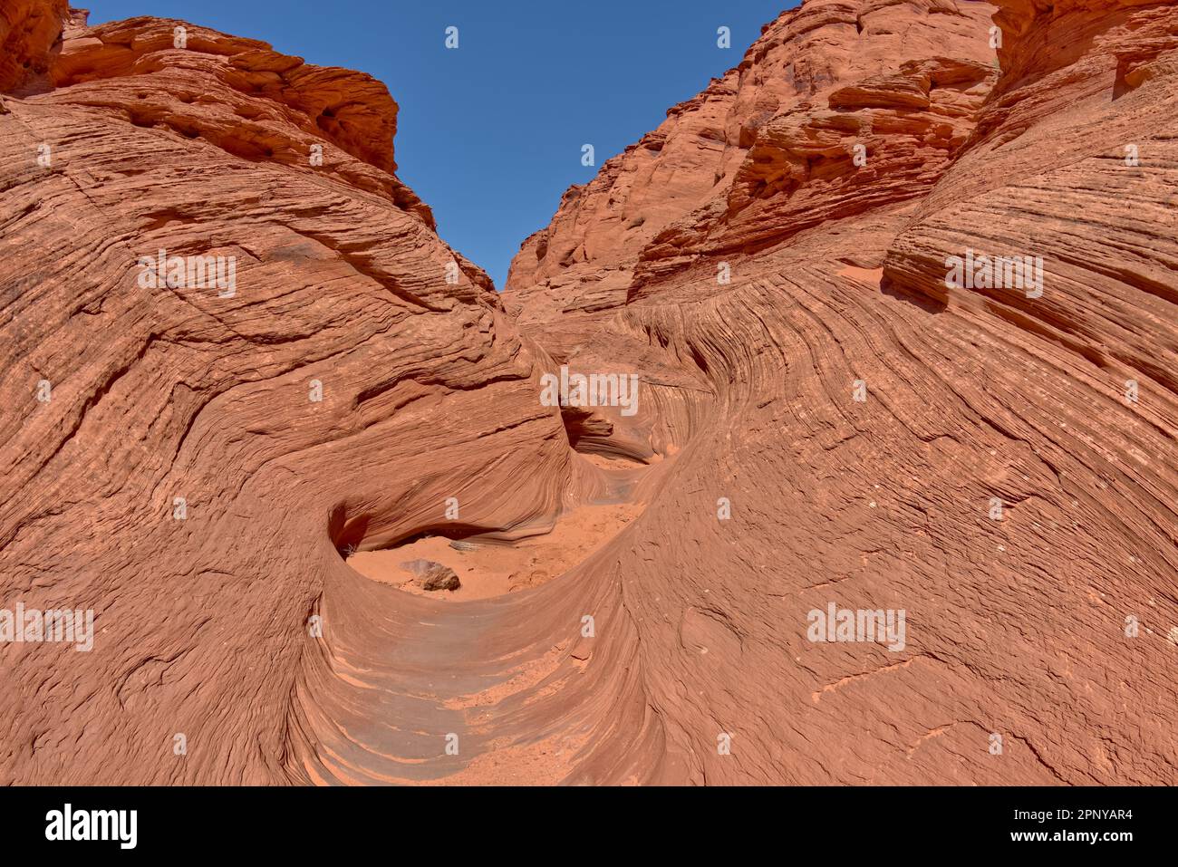 The Sandstone Waves of Ferry Swale AZ Stock Photo - Alamy