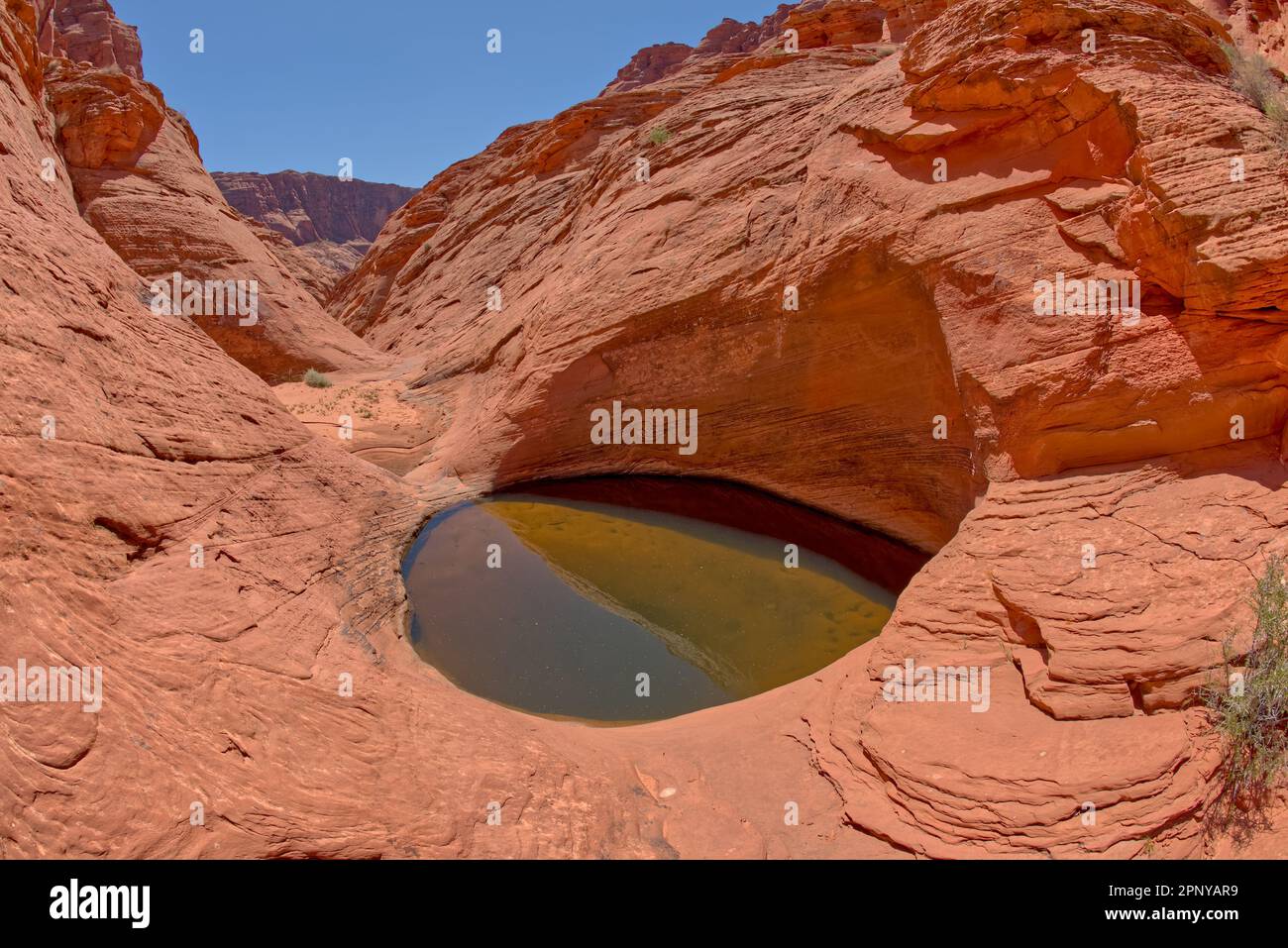 Waterhole hill hi-res stock photography and images - Alamy