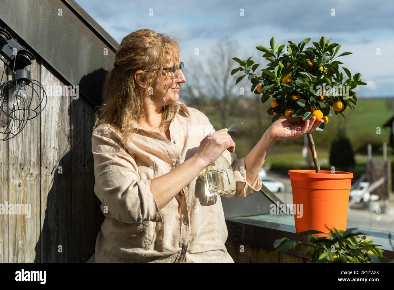 Middle age woman caring for citrus trees on the balcony Stock Photo - Alamy