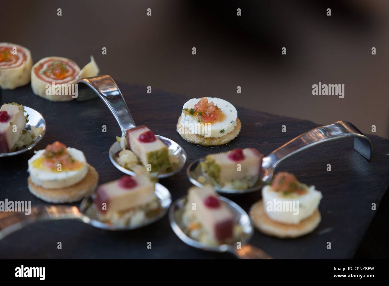 Coq d'Argent, One Poultry Stock Photo - Alamy