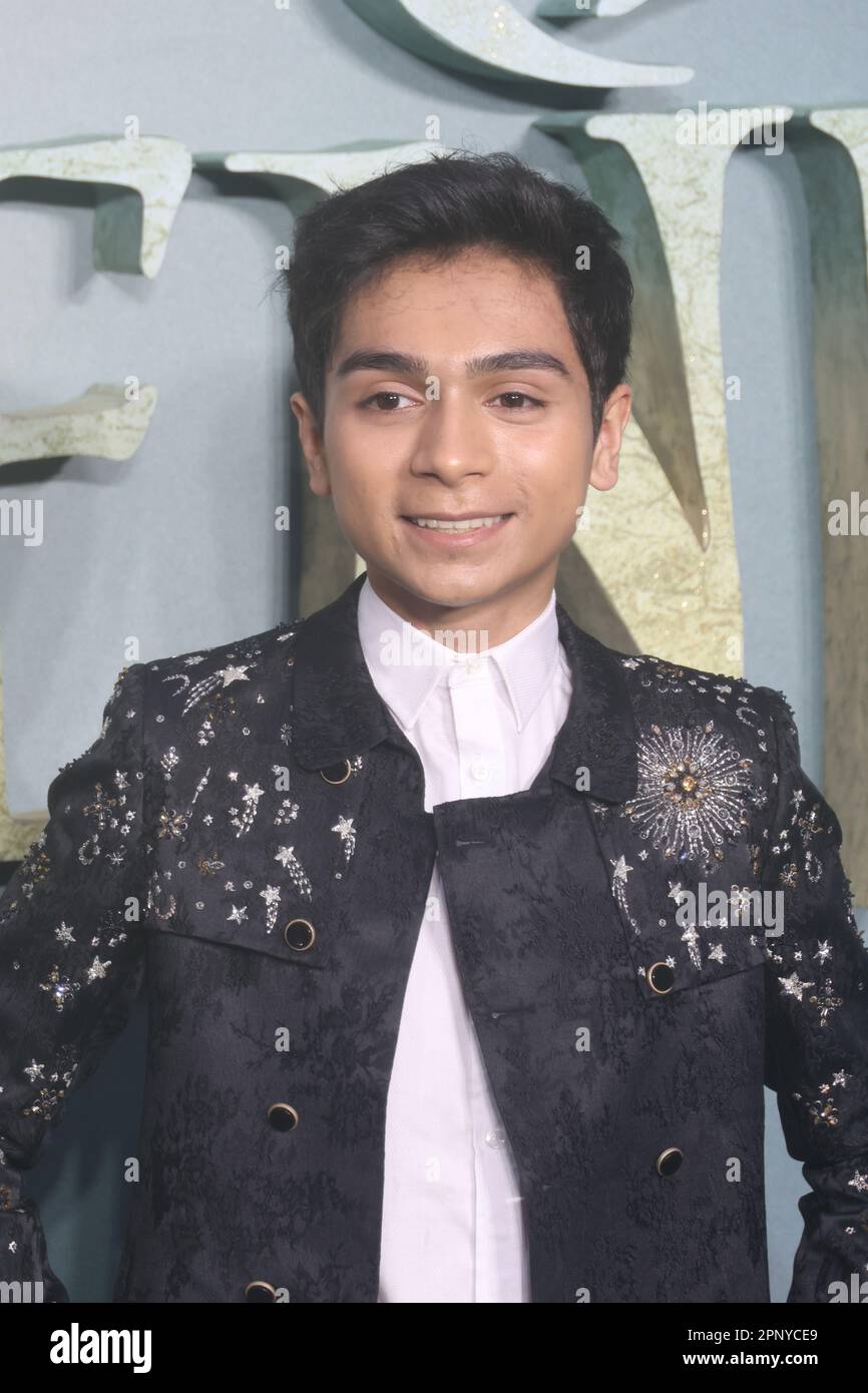 Alexander molony hi-res stock photography and images - Alamy