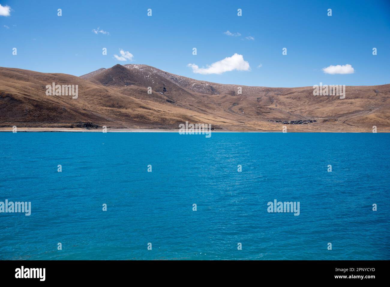 the vibrant lake Yamzho Yumco is surrounded by the Himalayan mountains ...