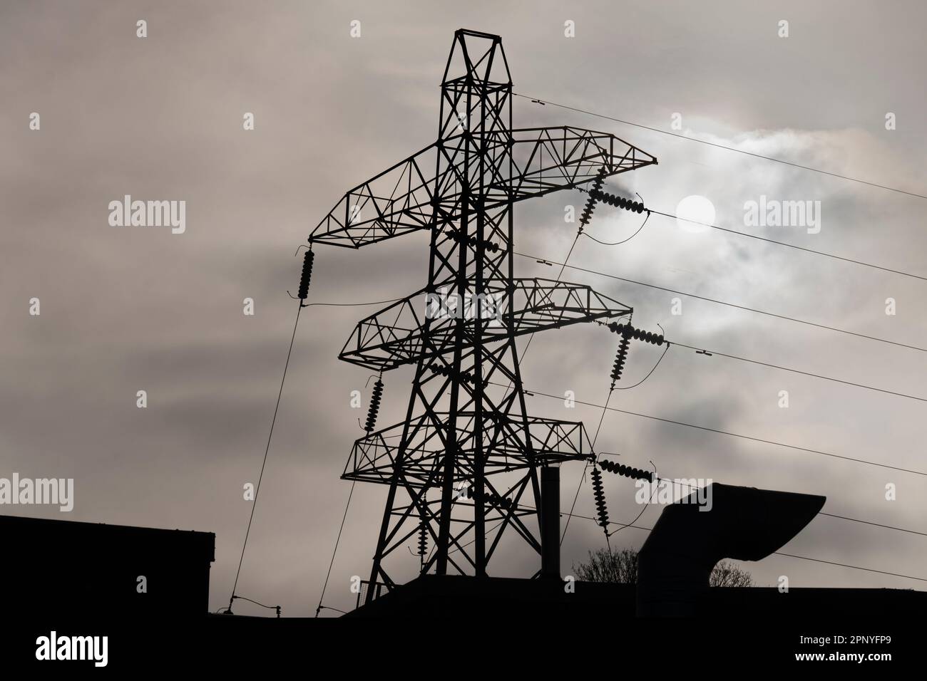 I love electricity pylons; I find their abstract, gaunt shapes ...