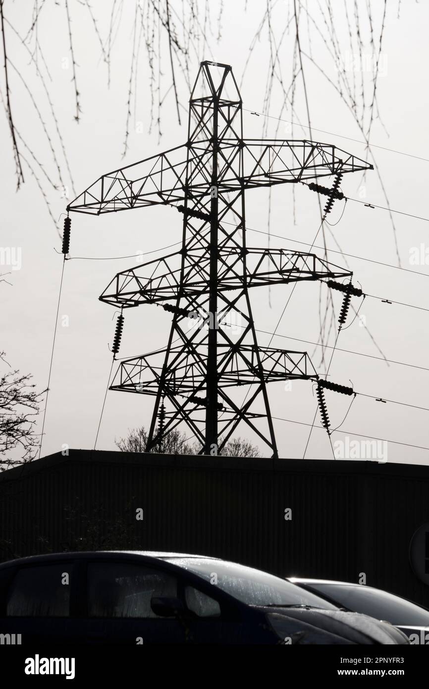 I love electricity pylons; I find their abstract, gaunt shapes ...