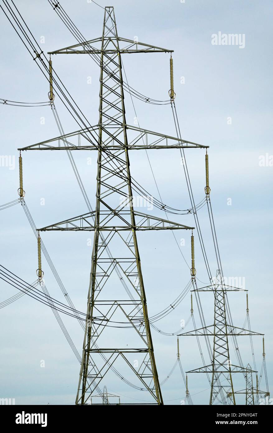 I love electricity pylons; I find their abstract, gaunt shapes ...
