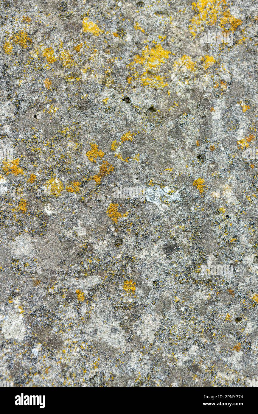 Old concrete texture, background for design Stock Photo - Alamy