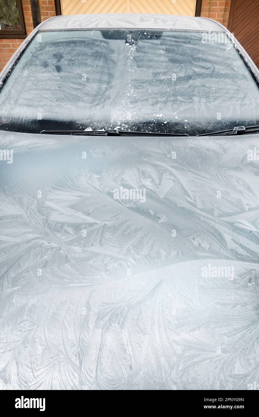 You can see pattern and beauty just about anywhere, if you look hard ...