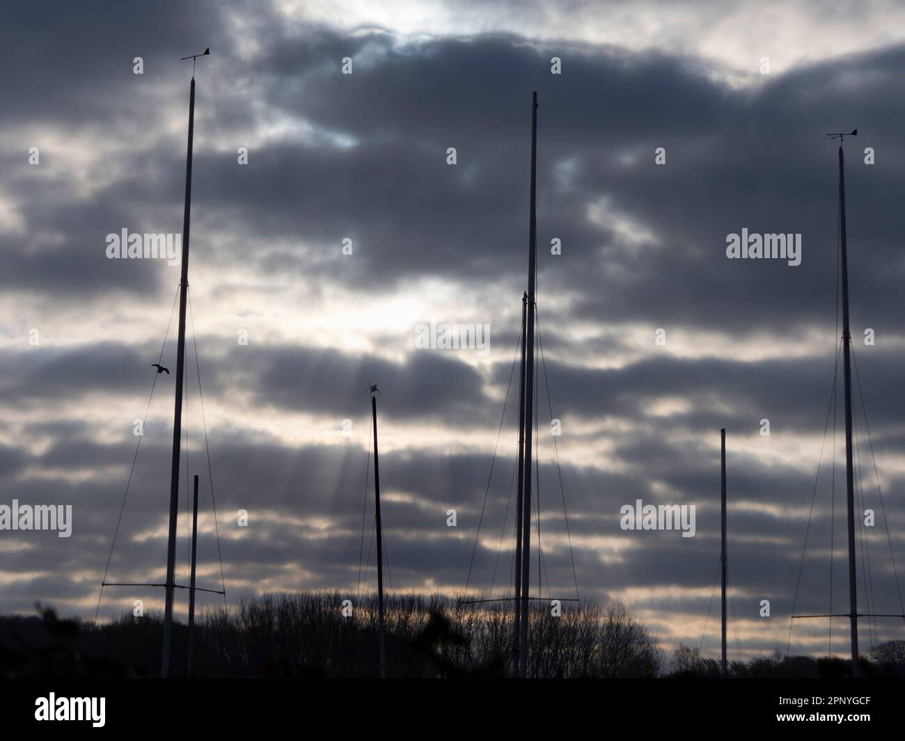 Dark, glowering overcast sky; an abstract array of yacht masts and ...