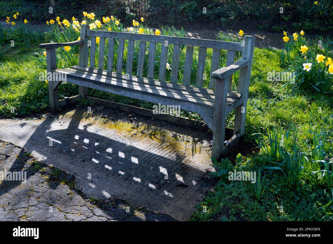 Inviting park bench with daffodils, located just by the railway bridge ...