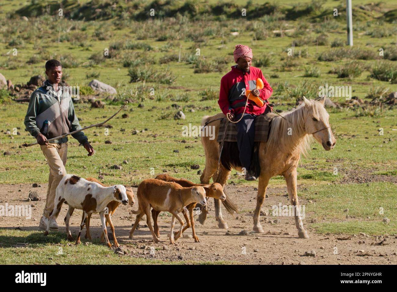 Muslim villagers riding horses on their way to market in Ethiopia Stock ...