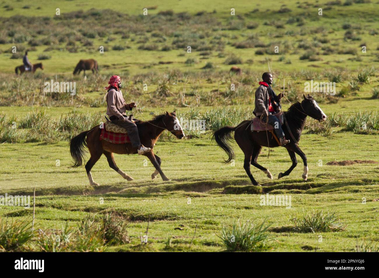 Muslim villagers riding horses galloping on horses on their way to ...
