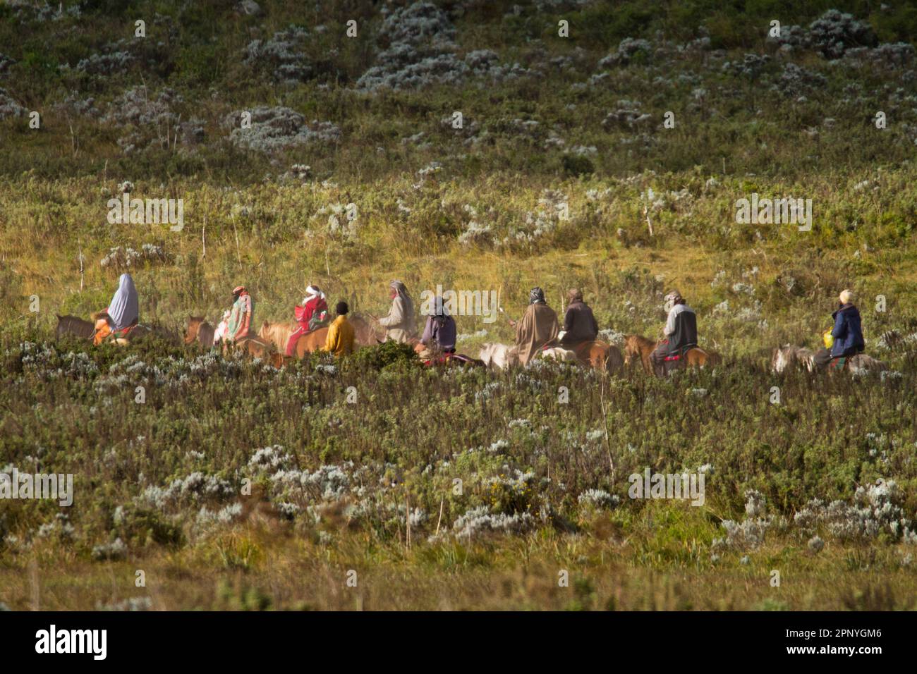 Muslim villagers riding horses on their way to market in Ethiopia Stock ...