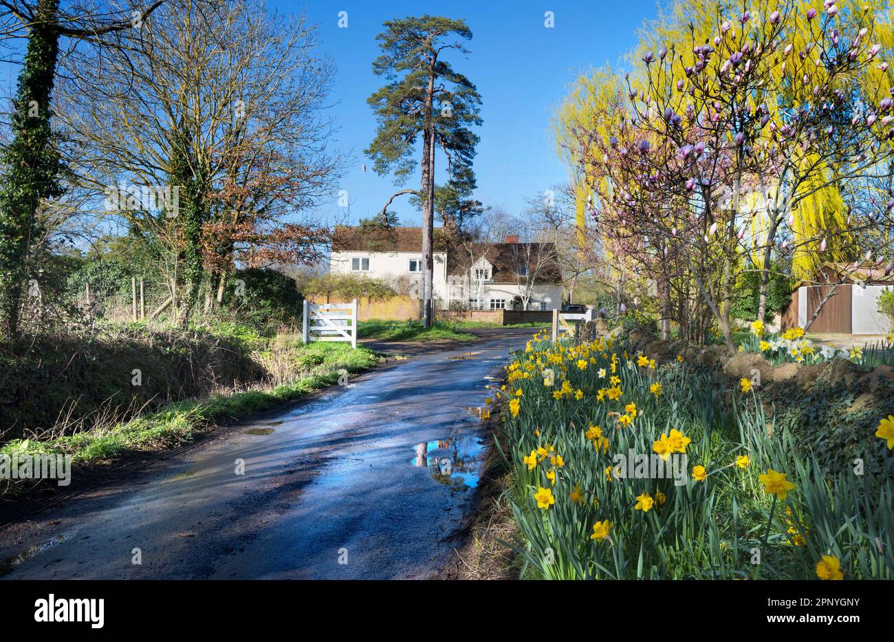 Now here is a quintessentially idyllic English scene - a Cotswolds ...
