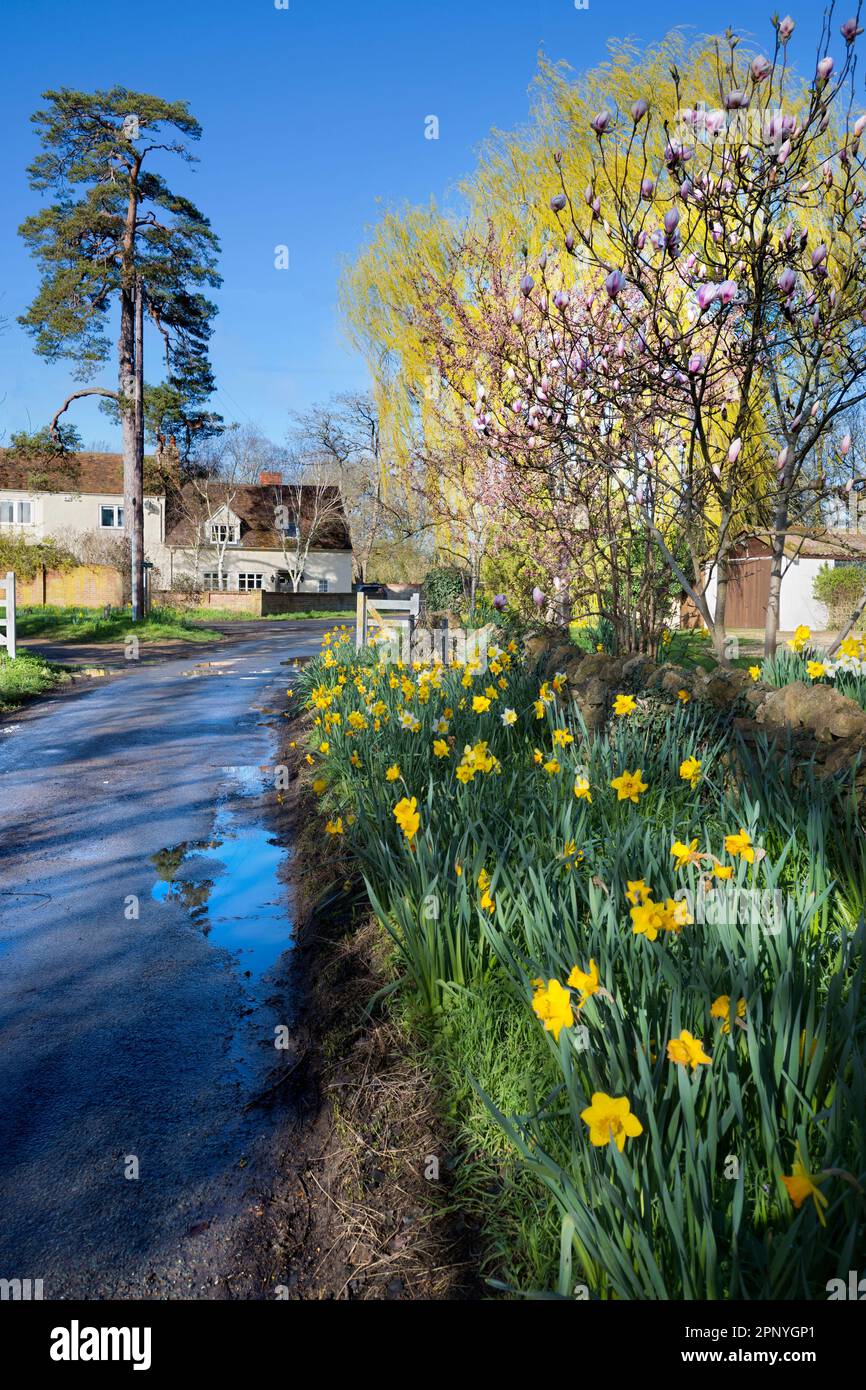 Rain cottage country nature hi-res stock photography and images - Alamy