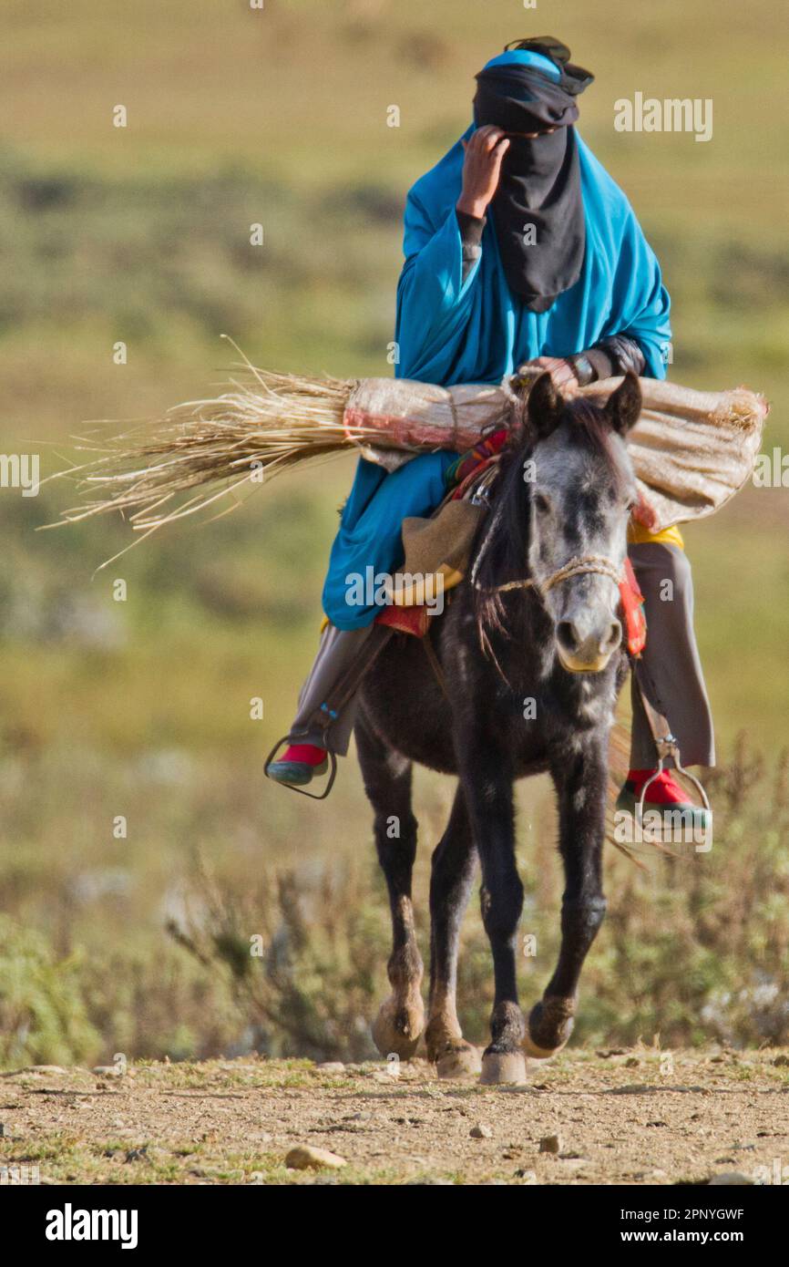 Muslim villagers riding horses on their way to market in Ethiopia Stock ...