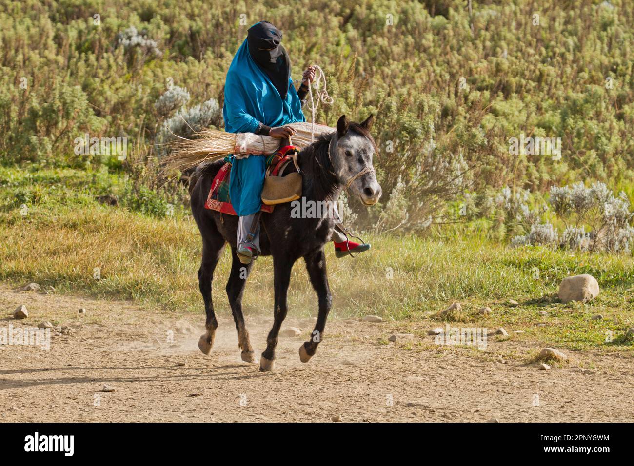 Muslim villagers riding horses on their way to market in Ethiopia Stock ...