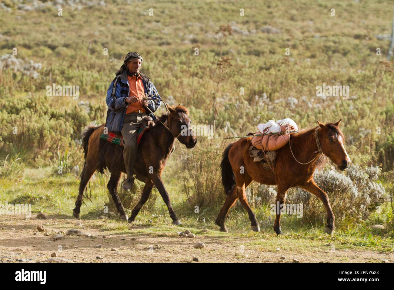 Muslim villagers riding horses on their way to market in Ethiopia Stock ...