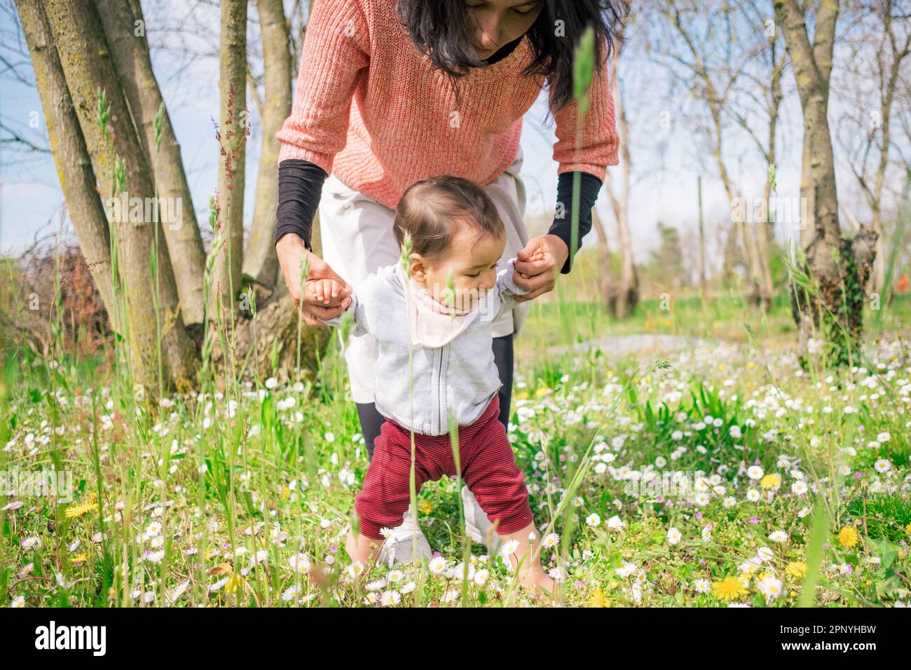 a mother helping her baby daughter move the first steps in a meadow in ...