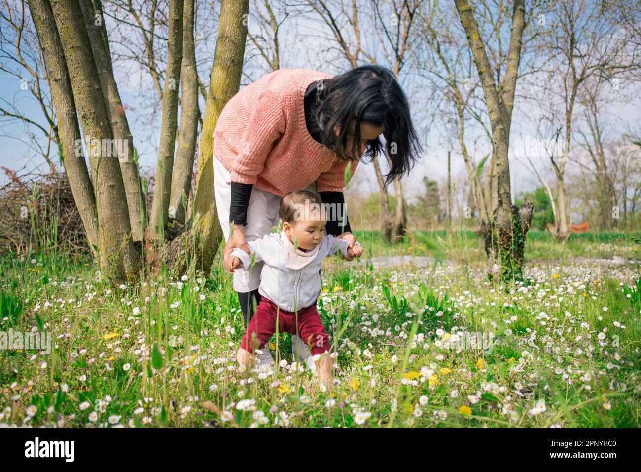 a mother helping her baby daughter move the first steps in a meadow in ...