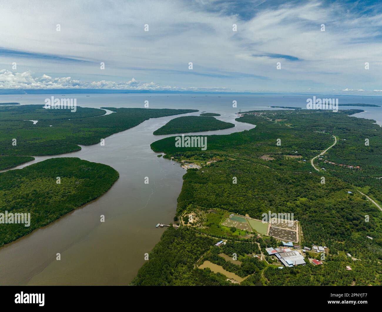 Aerial drone of mangrove forests and jungles in wetlands. Menumbok ...