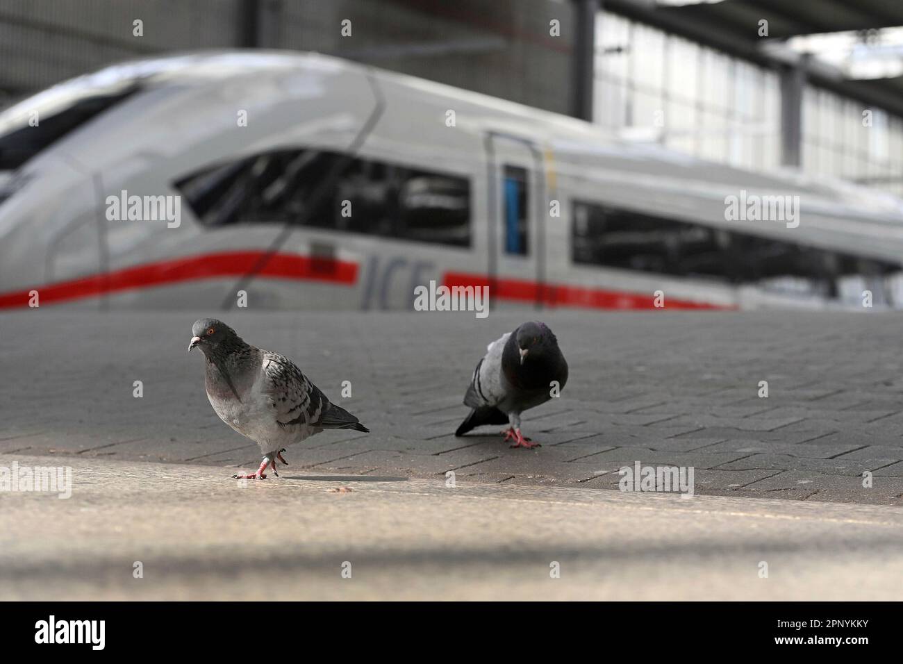 Strike on Friday, April 21, 2023 at the main train station in Munich ...