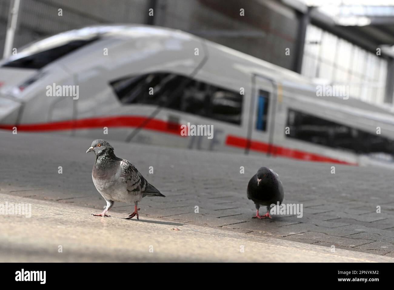 Strike on Friday, April 21, 2023 at the main train station in Munich ...