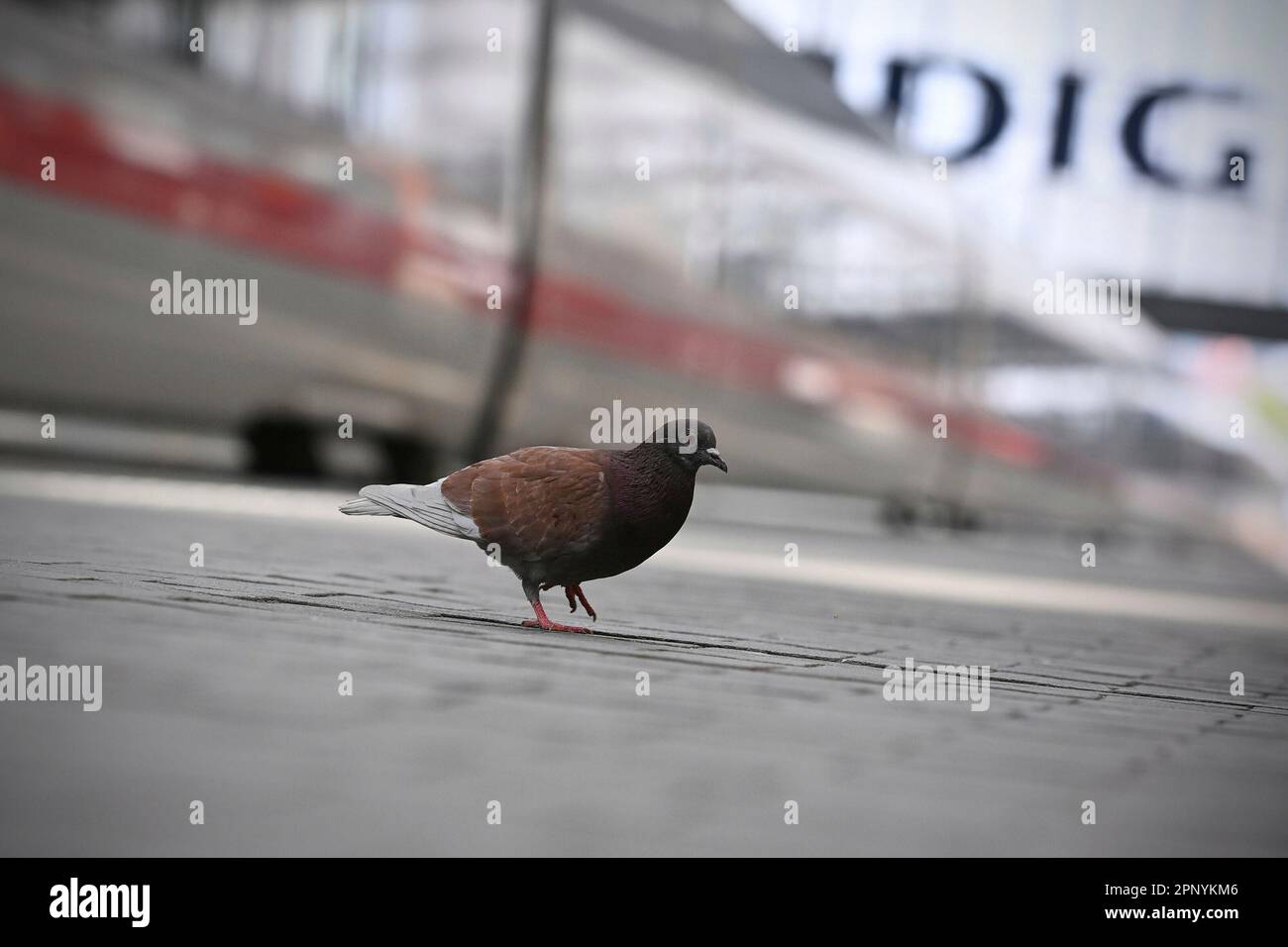 Strike on Friday, April 21, 2023 at the main train station in Munich ...