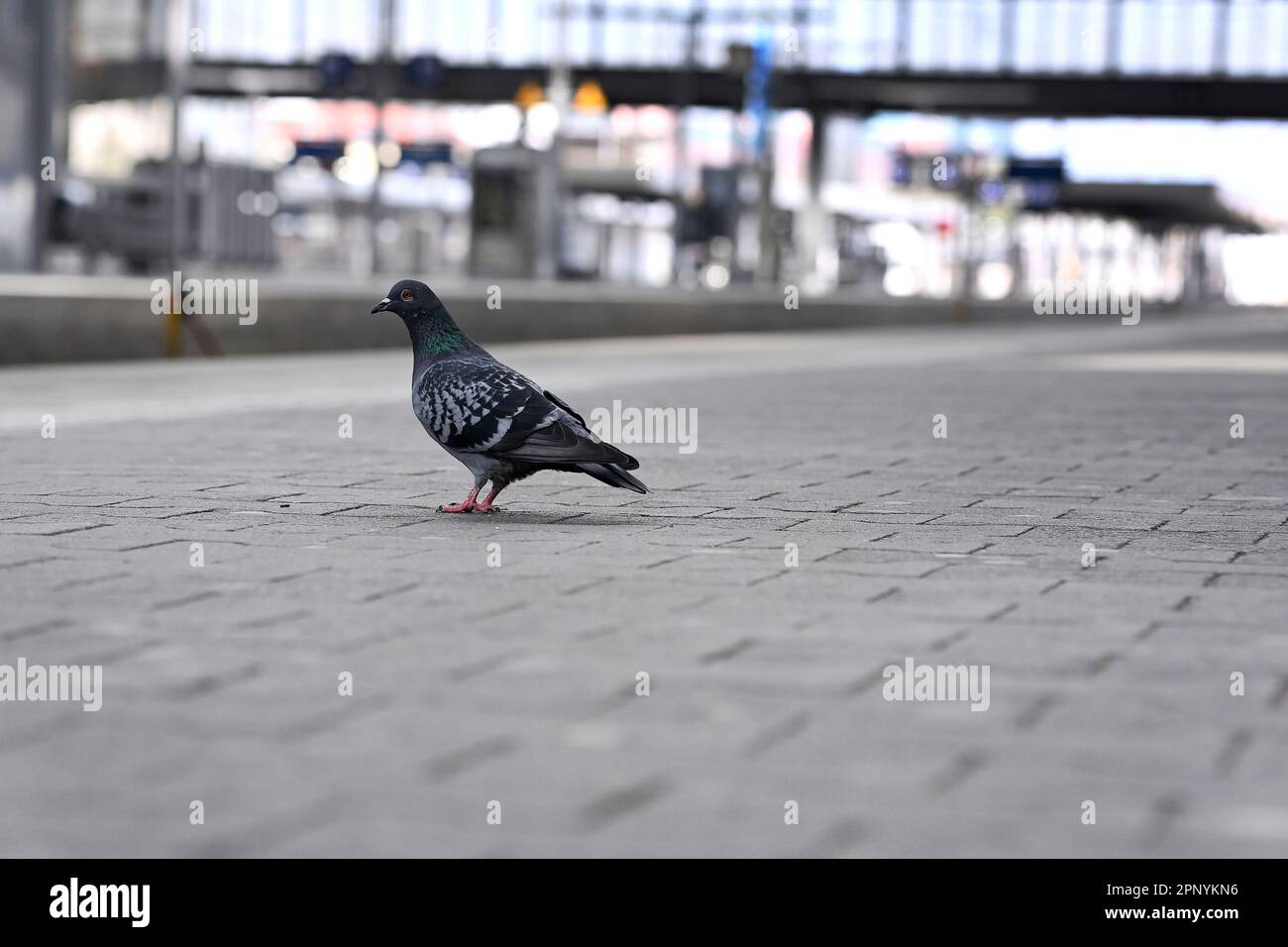 Strike on Friday, April 21, 2023 at the main train station in Munich ...