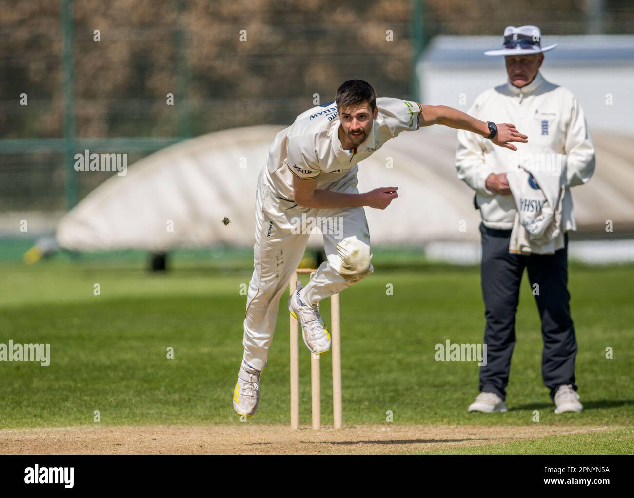 Cricket george scrimshaw hi-res stock photography and images - Alamy