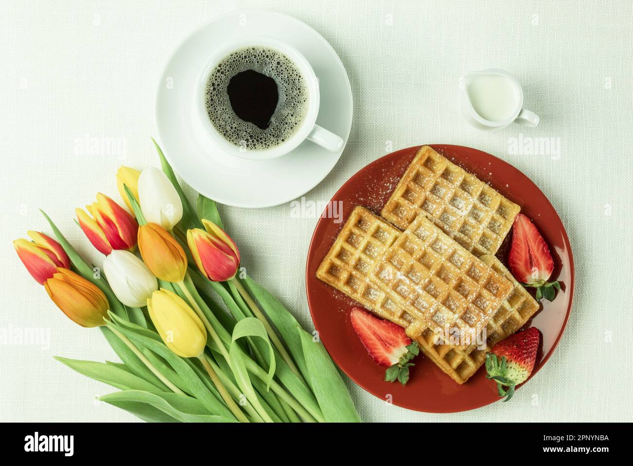 Fresh tulips and Belgian fruit waffles, top view. Tasty breakfast ...