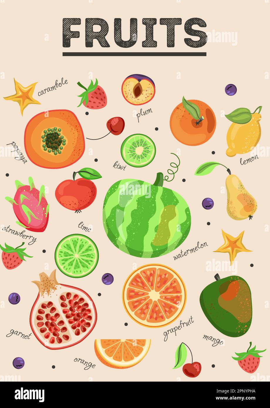 Poster with fruits and berries Stock Vector Image & Art - Alamy