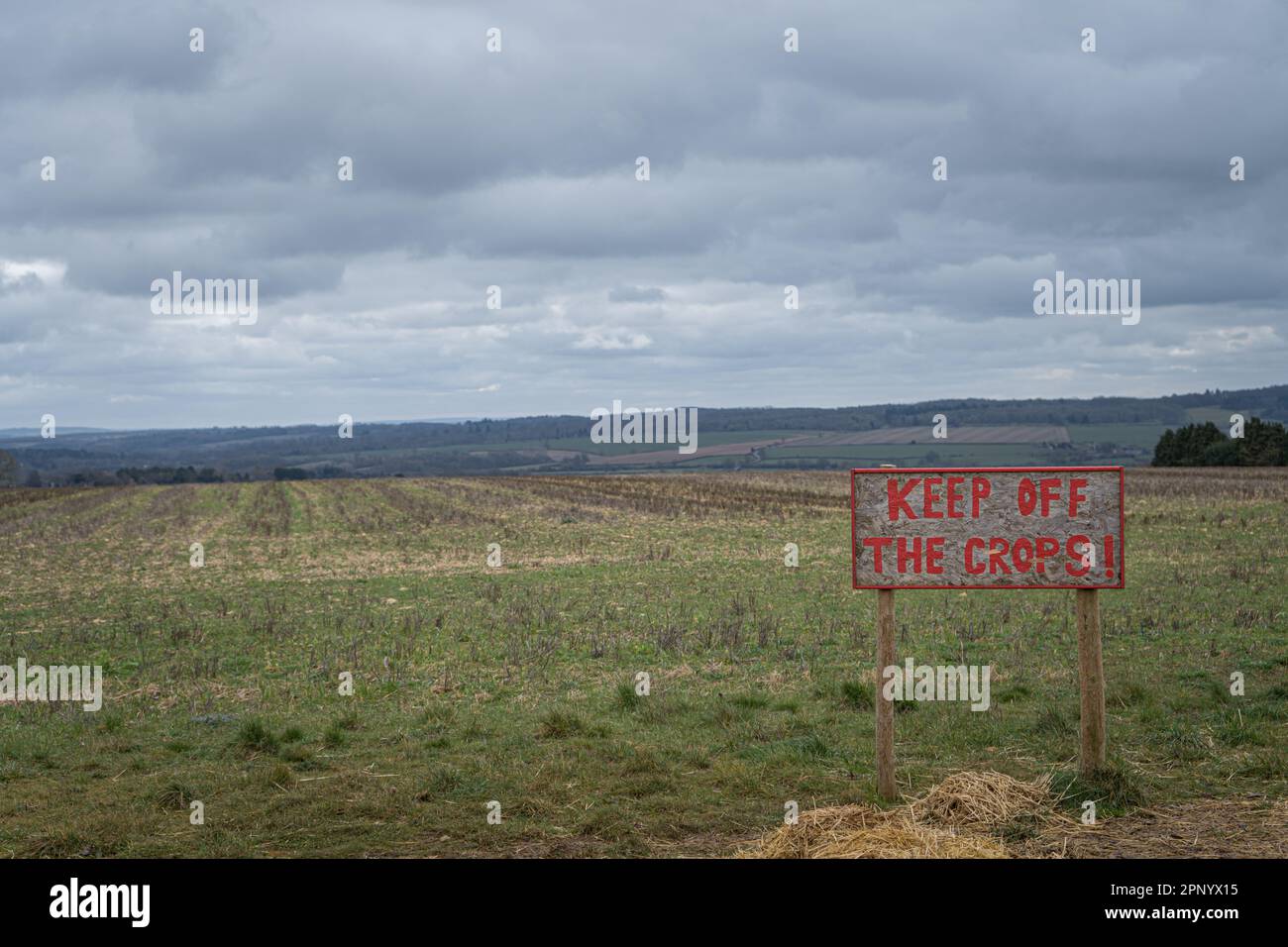 A wooden post with a red sign "Keep off the crops" stands in a lush ...