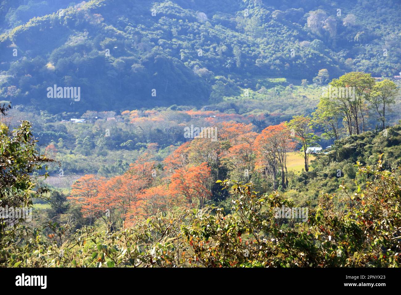 the Landscape near in Paraiso around Orosi Valley near the city of ...
