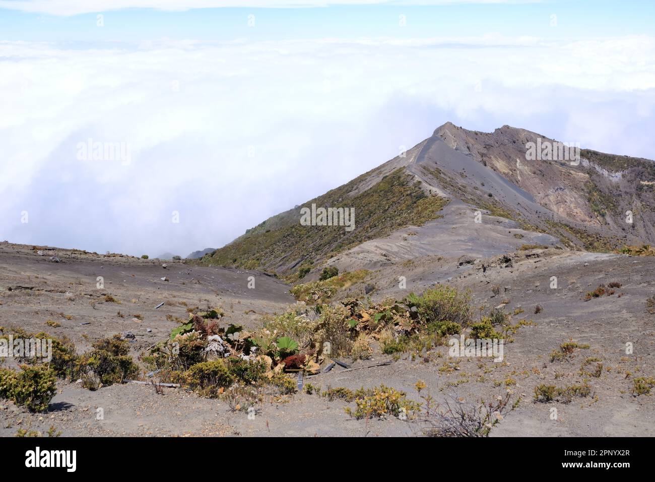 Costa Rica. Irazu Volcano National Park (Spanish: Parque Nacional ...