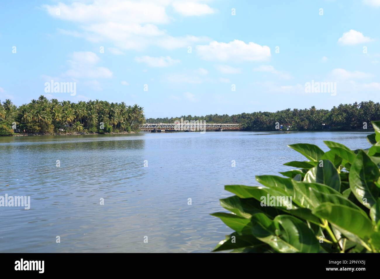 the lake and backwaters behind Dharmadam beach in Kannur, Kerala in ...